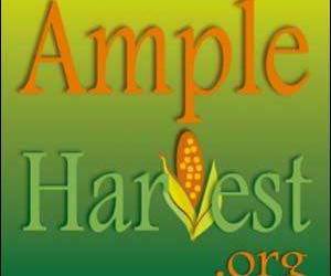 In the Kitchen with ...Jennifer Manthey