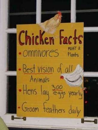 Council approves chicken ordinance
