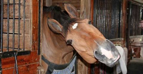 How nice to meet you too!