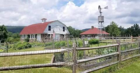 Square, line dancing tonight at Wallisch Homestead
