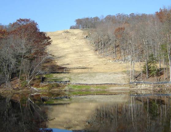 Reforestation project wins state approval for grant payout