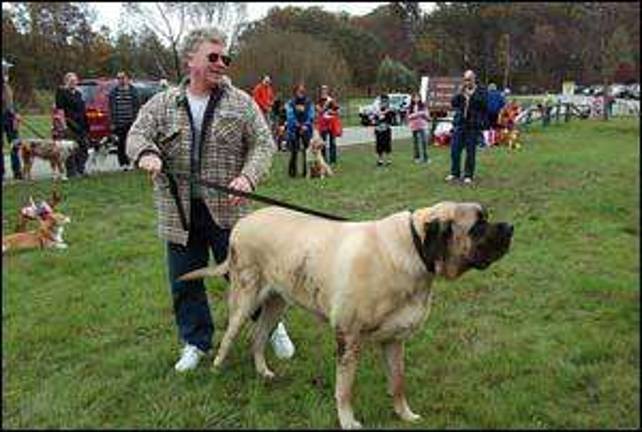 The day belonged to the dogs at the shelter's Walk-a-Dog-a-Thon