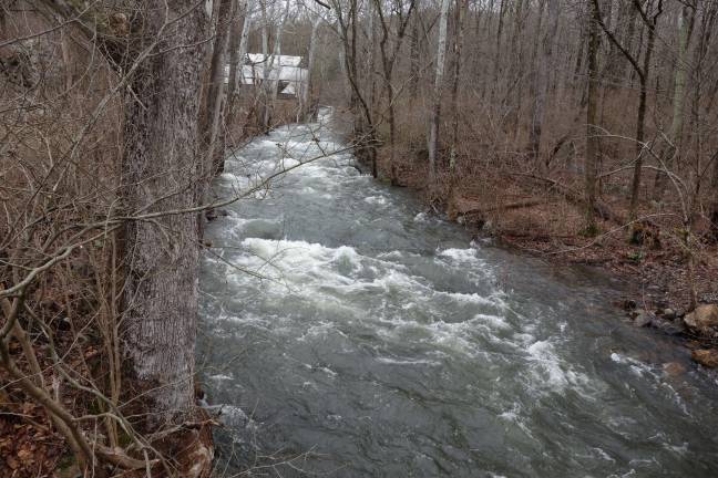 Rebuilt bridge over Wanaque restores link to Highlands Trail