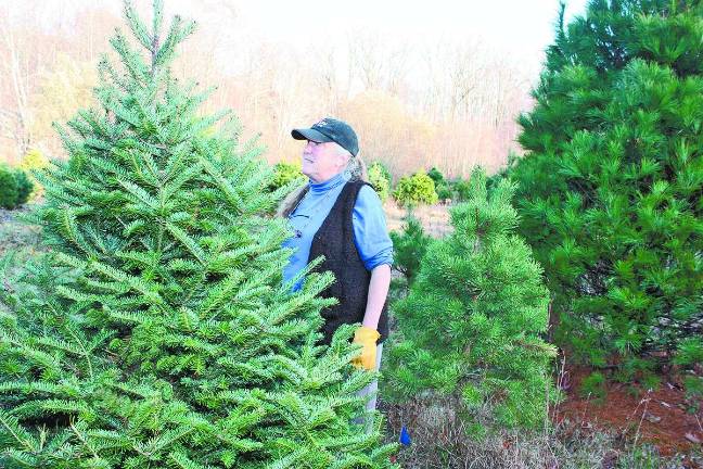 Step back in time at West Milford’s Bear Swamp Farm